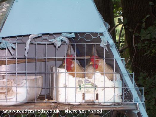 Tudor Chook House, Unexpected/Unique, #International owned by stewart ...