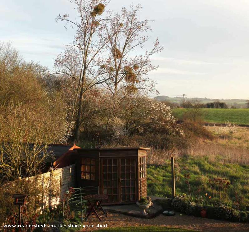 The Reading Room, Unexpected/Unique, owned by Sheddie Betty Mealand | # ...
