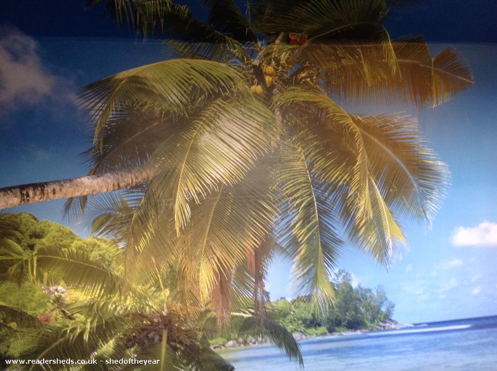 Room With A View, Pub/Entertainment, Devon owned by Sheddie Norm ...