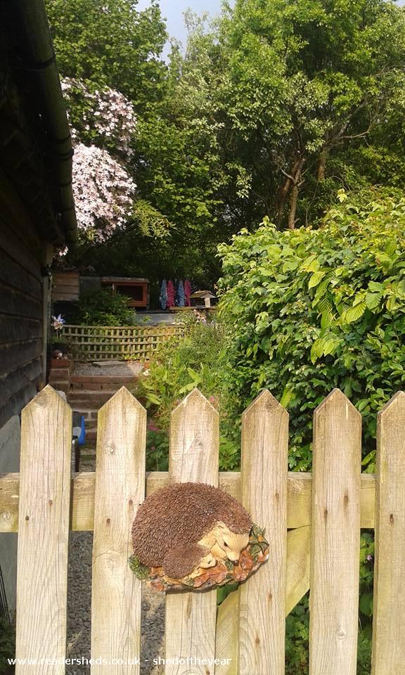 Pricklebums Hedgehog Rescue, Unexpected/Unique, Shropshire owned by ...