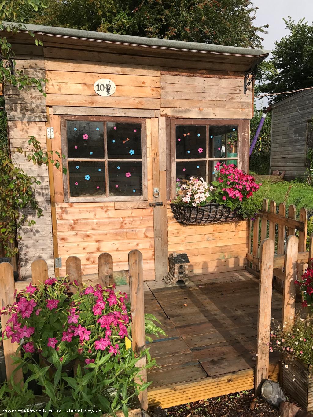 The Den, Budget, Devon owned by Sheddie Tracey Boddy | #shedoftheyear