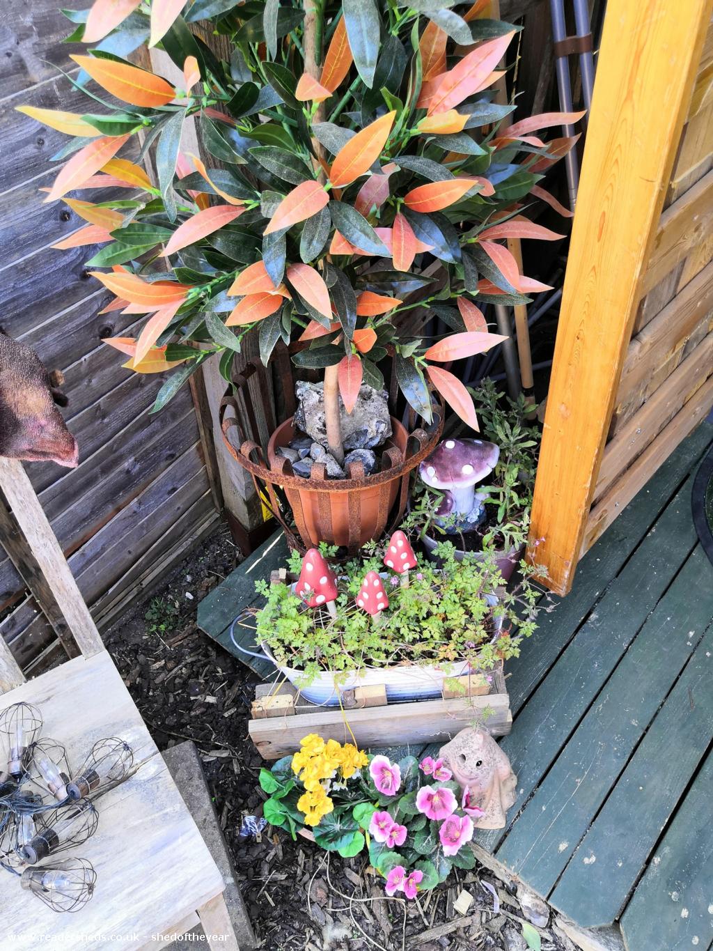 Budget Pallet Hobbit House, Budget, Kent owned by Sheddie Julie Twydell ...