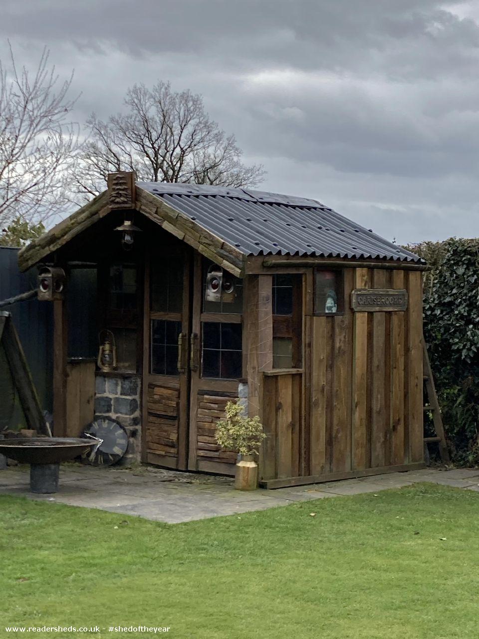 Lily, Budget, Warwickshire owned by Sheddie Rhys Lyons | #shedoftheyear