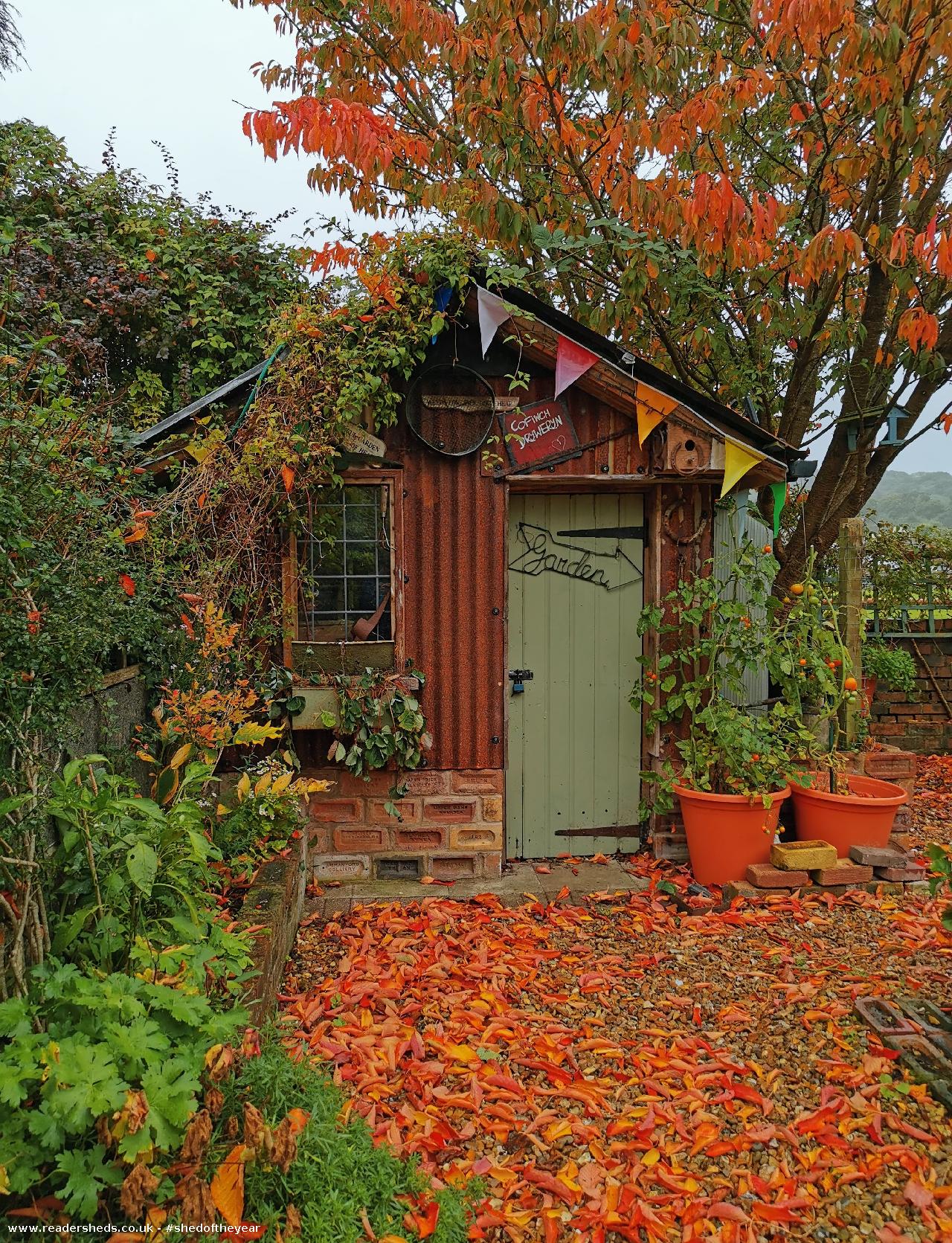 Ted's shed, Simple But Effective, Carmarthenshire owned by Sheddie Ted ...