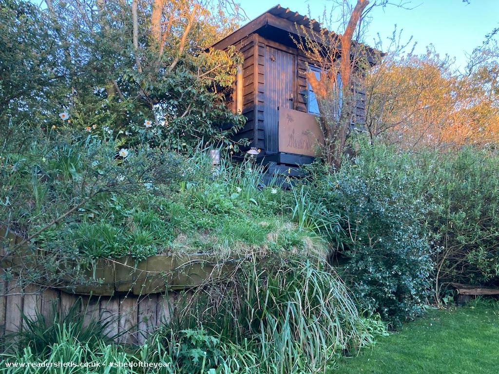 Boomhuis, Unexpected/Unique, Kent owned by Sheddie Chris Hone | # ...