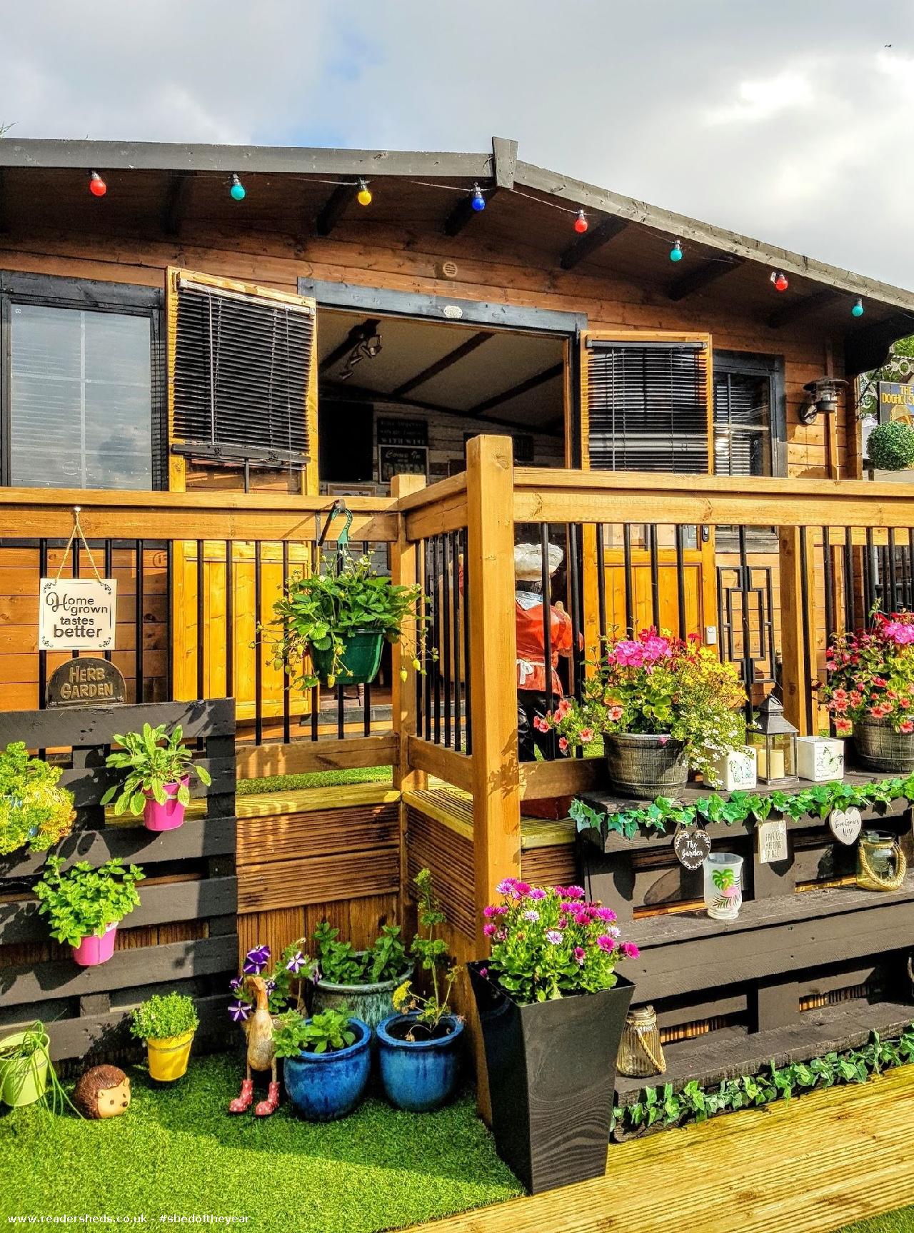 The Dog House Inn , Pub/Entertainment, Devon owned by Sheddie Jayne ...