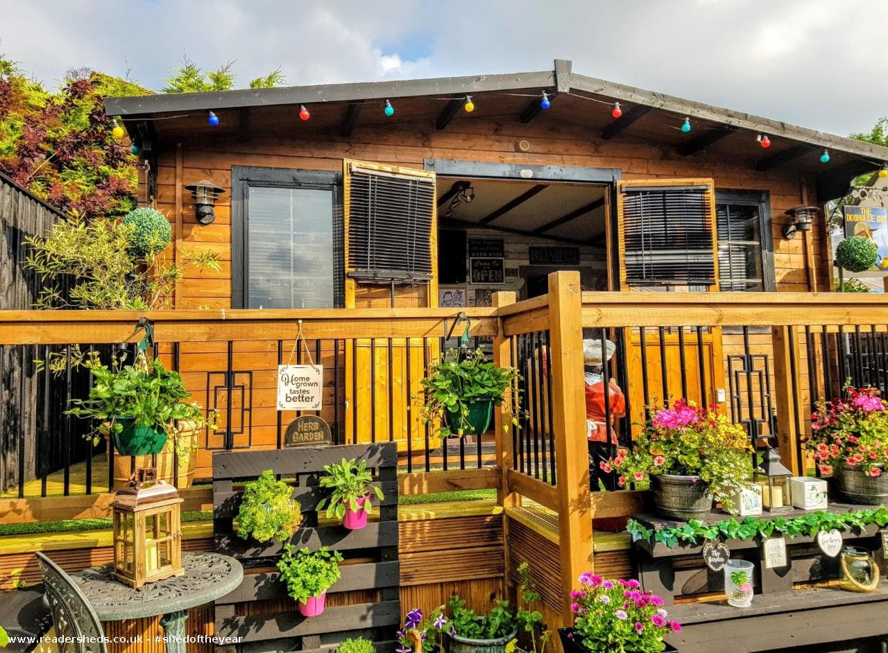 The Dog House Inn , Pub/Entertainment, Devon owned by Sheddie Jayne ...